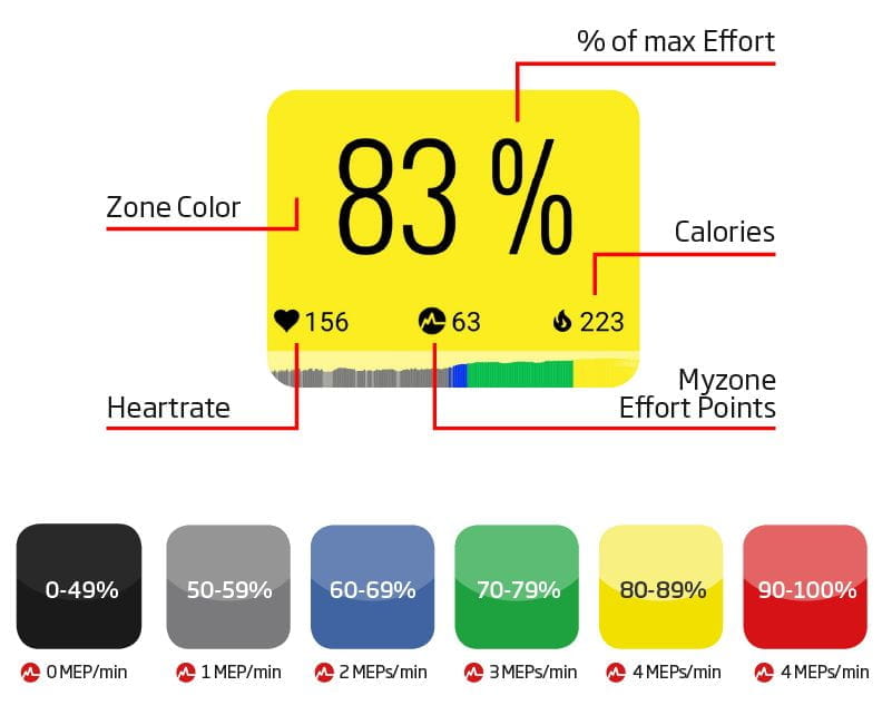 F Zone Belt | Fitness First Thailand